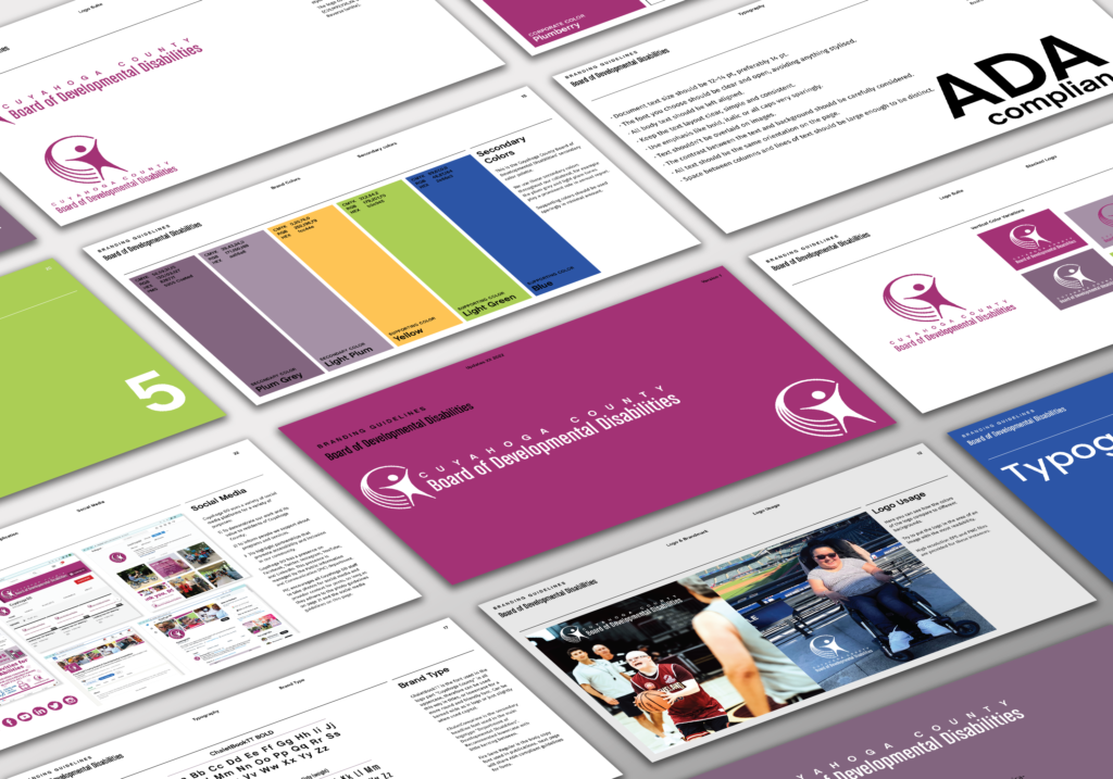CCB of Development Disabilities Brand - Design LBS